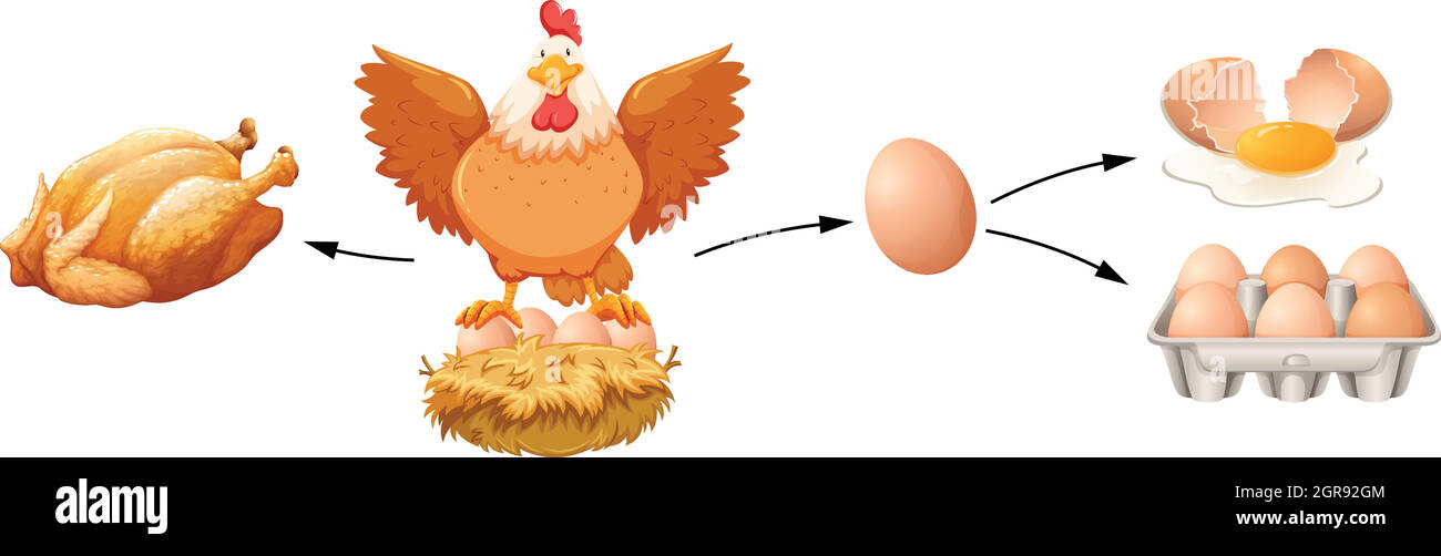 Chicken product on white background Stock Vector Image & Art - Alamy