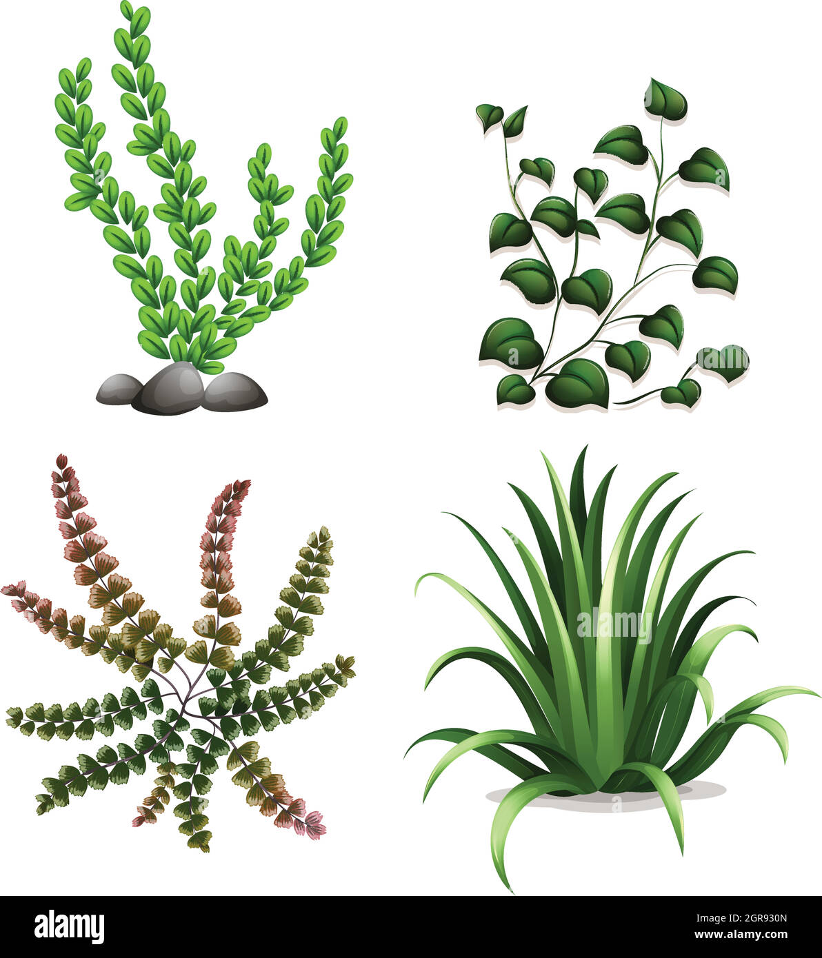 Set of plants hi-res stock photography and images - Alamy