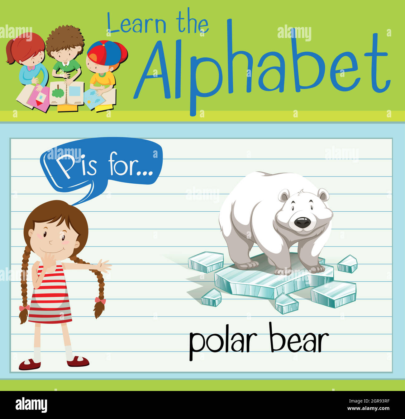 Flashcard letter P is for polar bear Stock Vector Image & Art - Alamy