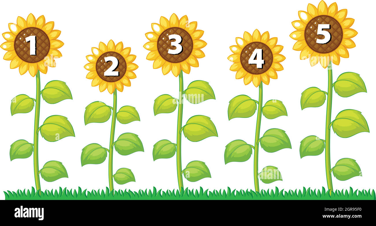 Number one digit on Stock Vector Images - Alamy