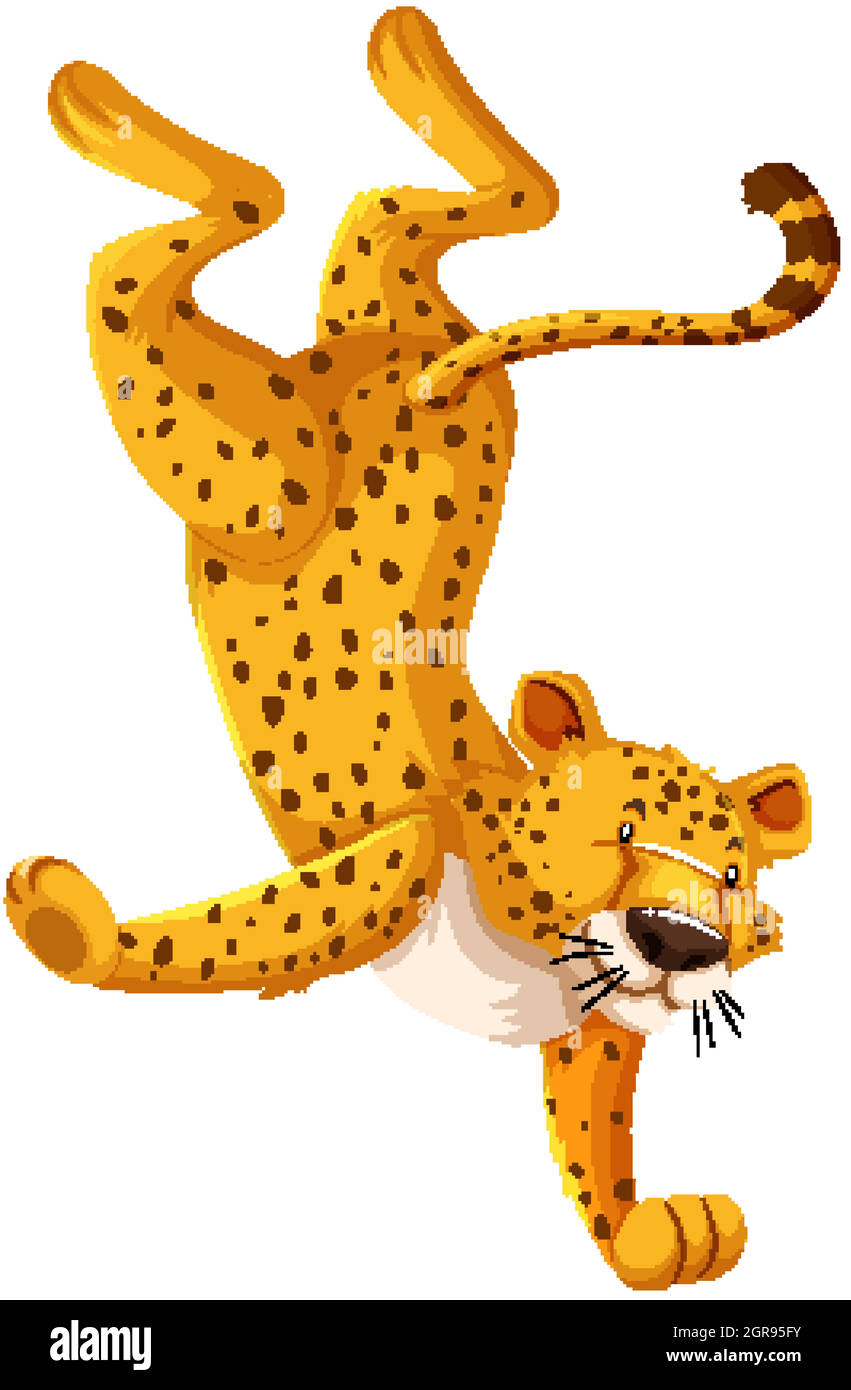 Leopard stand standing Stock Vector Images - Alamy