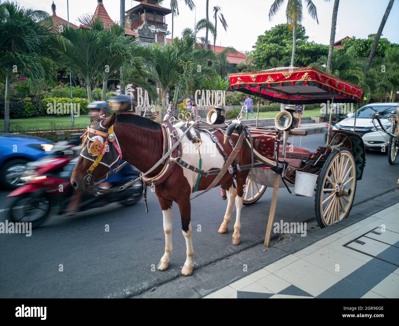 Traditional pony and trap hi-res stock photography and images - Alamy