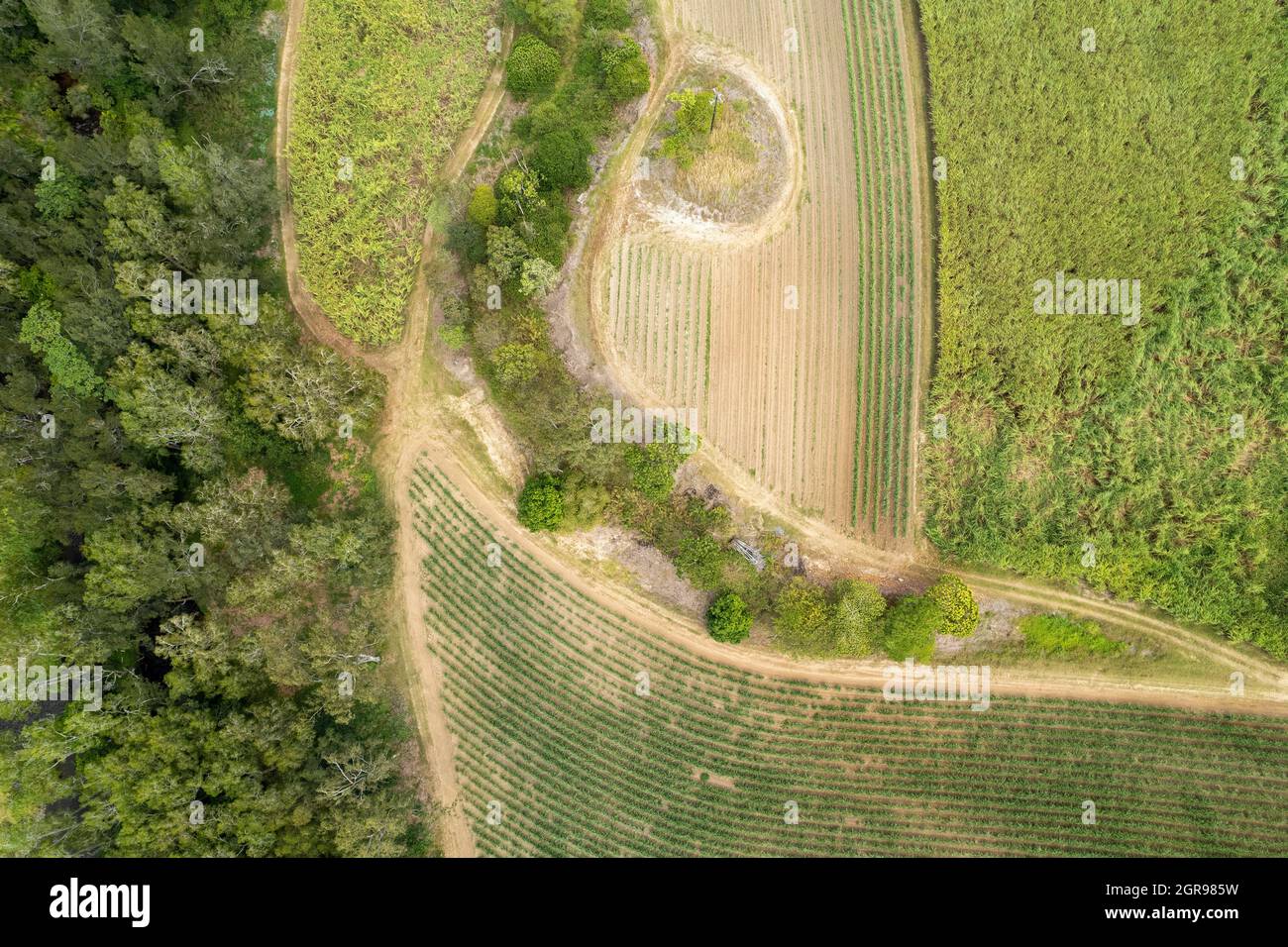 High perspective down view aerial landscape pattern of fields with ...