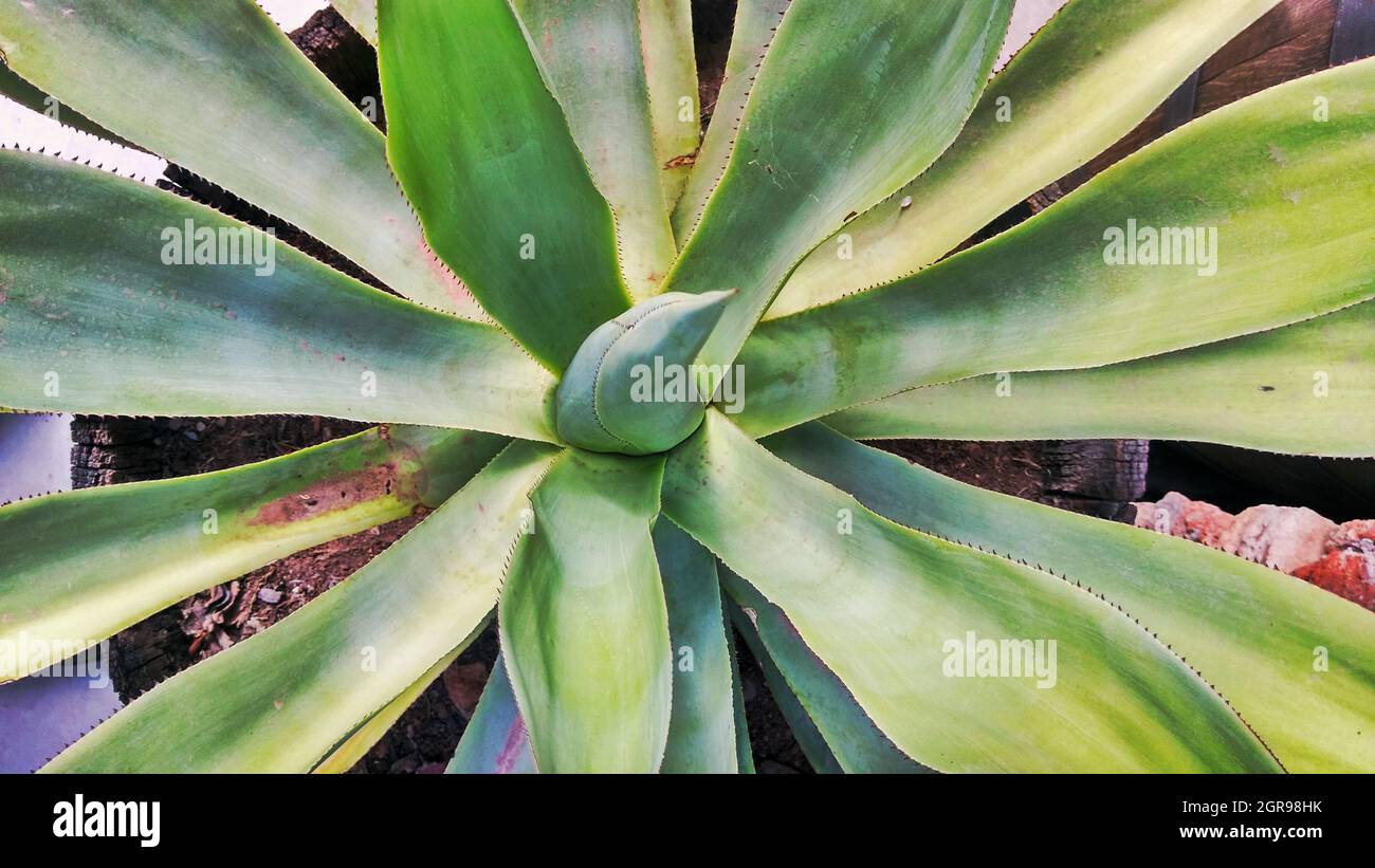 Shapes in nature hi-res stock photography and images - Alamy