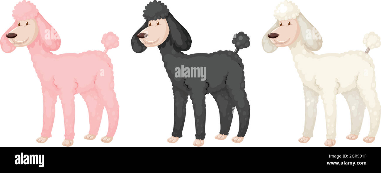 Puddle puddle Stock Vector Images - Alamy