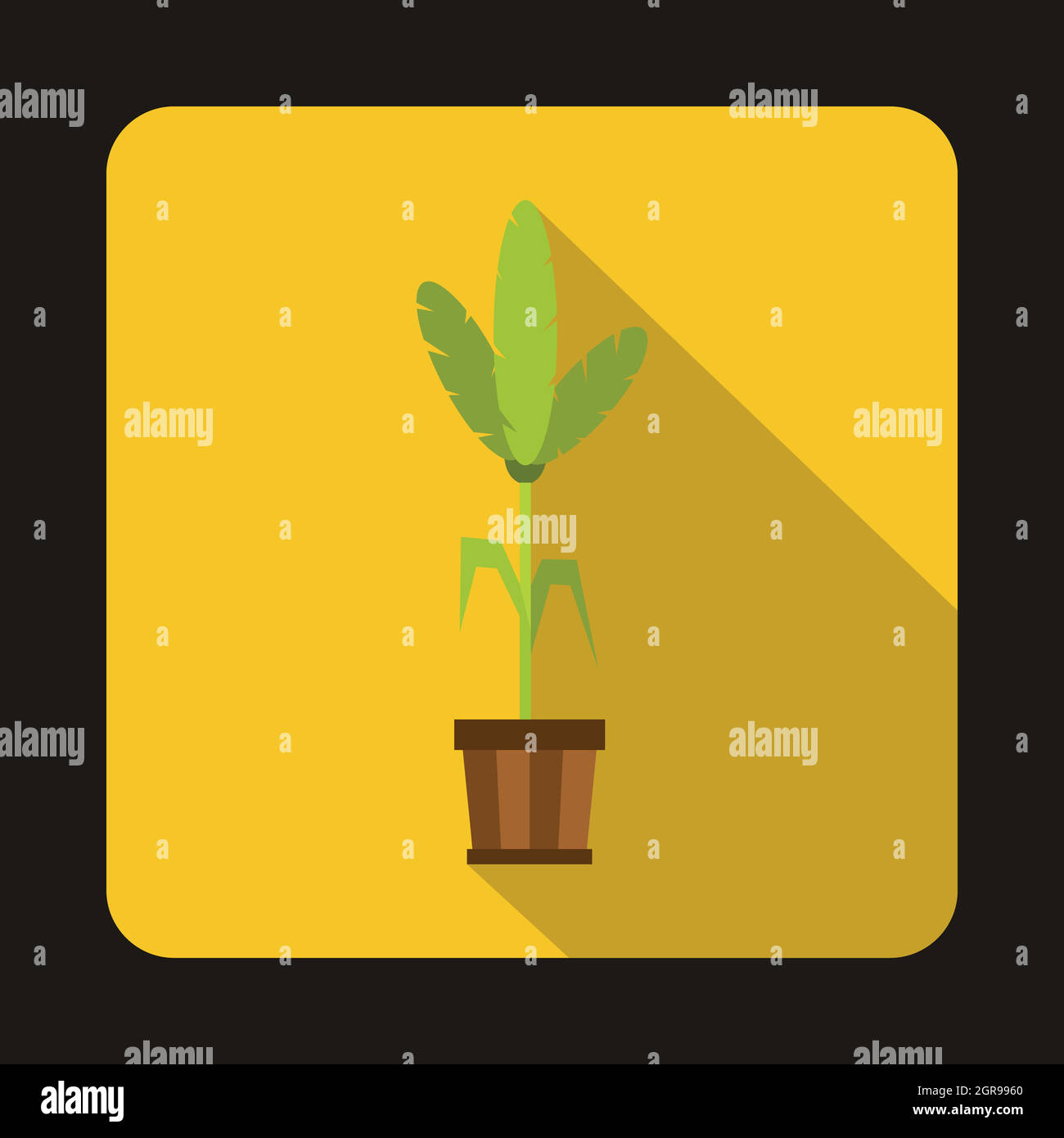 Decorative house plant in Stock Vector Images - Alamy
