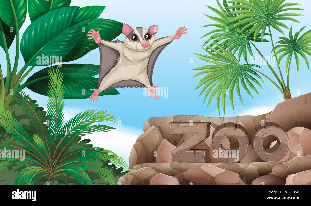 Sugar glider flying over the zoo sign Stock Vector Image & Art - Alamy