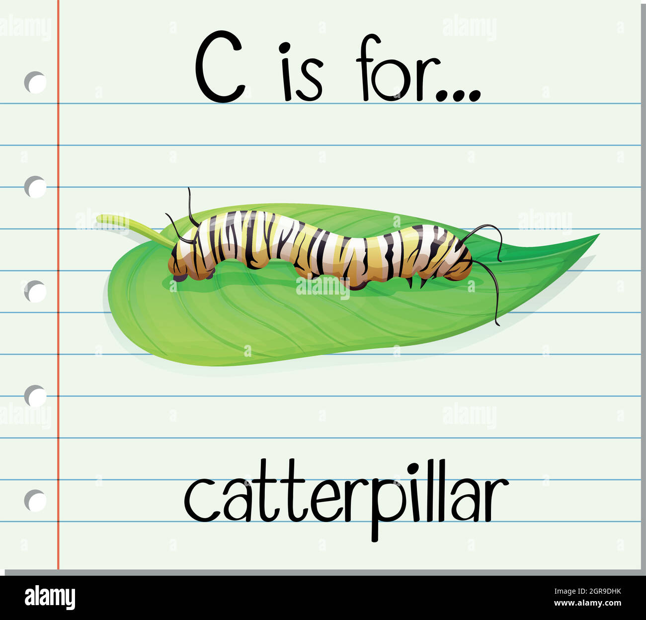 Flashcard alphabet C is for catterpillar Stock Vector Image & Art - Alamy