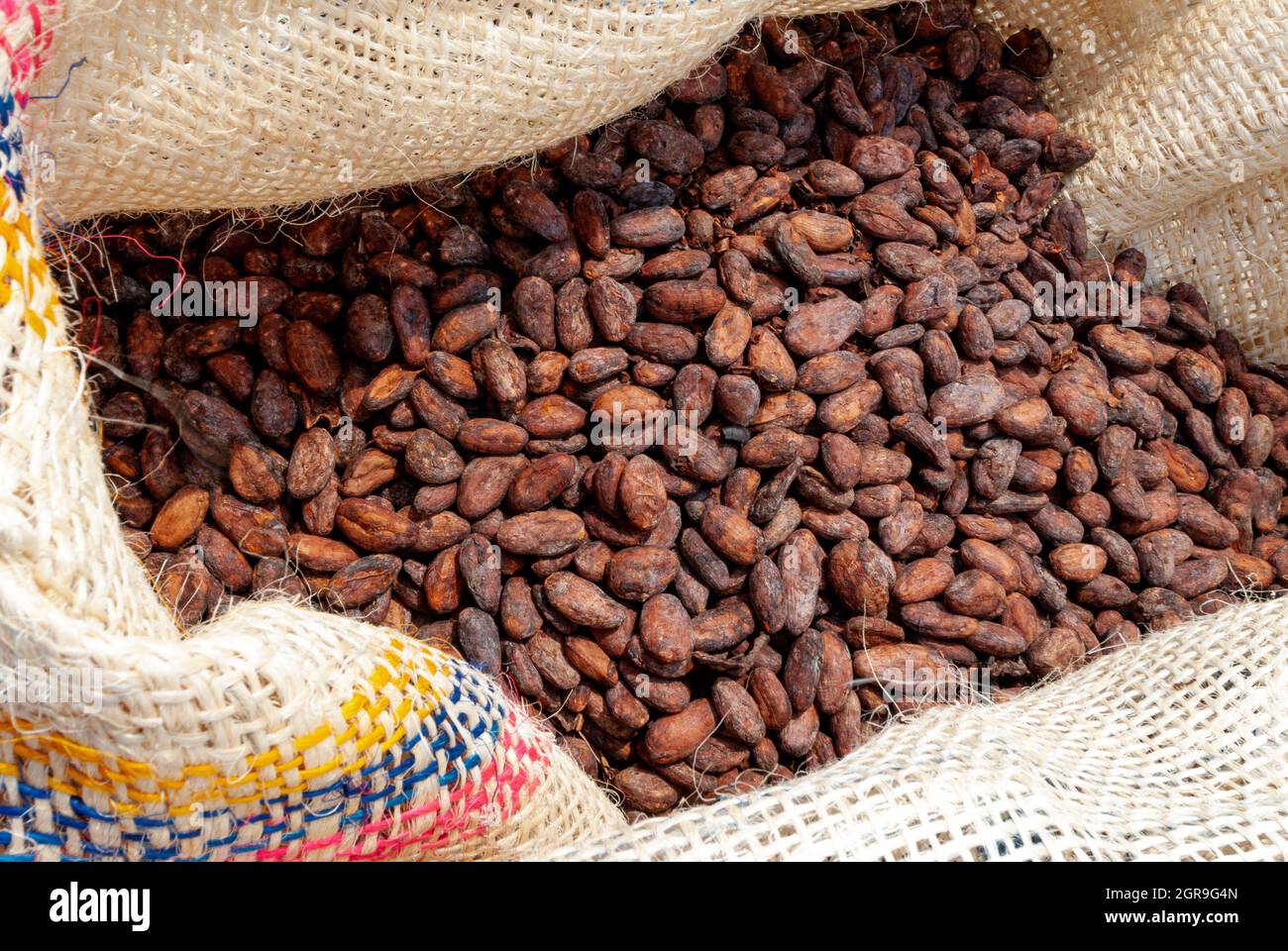 Cocoa bags hi-res stock photography and images - Alamy