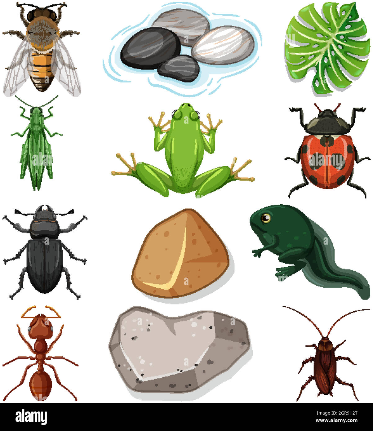 Different types of insect with nature elements Stock Vector Image & Art ...