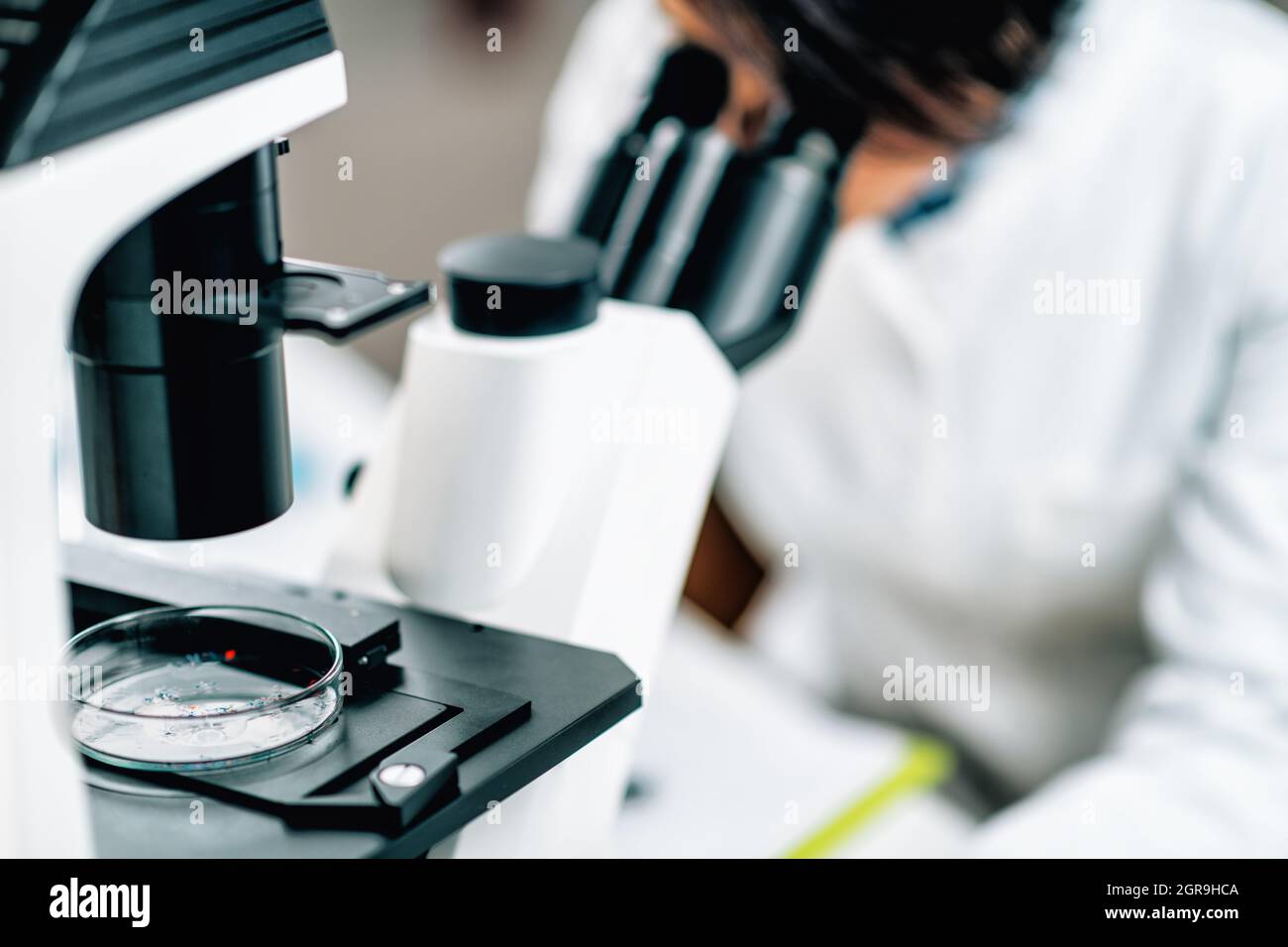 Microplastic microscope hi-res stock photography and images - Alamy