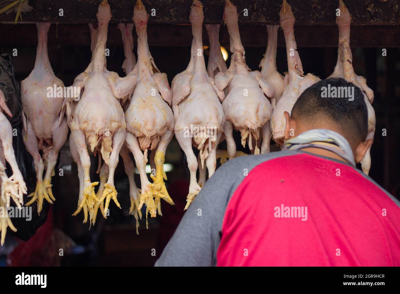 Fish slaughterhouse hi-res stock photography and images - Alamy