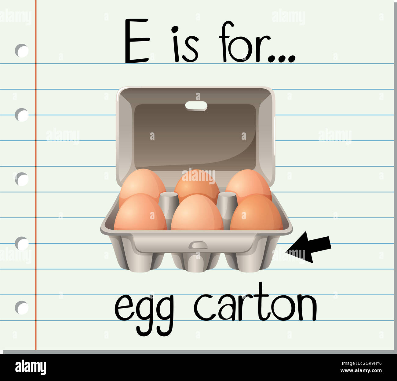 Flashcard letter E is for egg carton Stock Vector Image & Art - Alamy