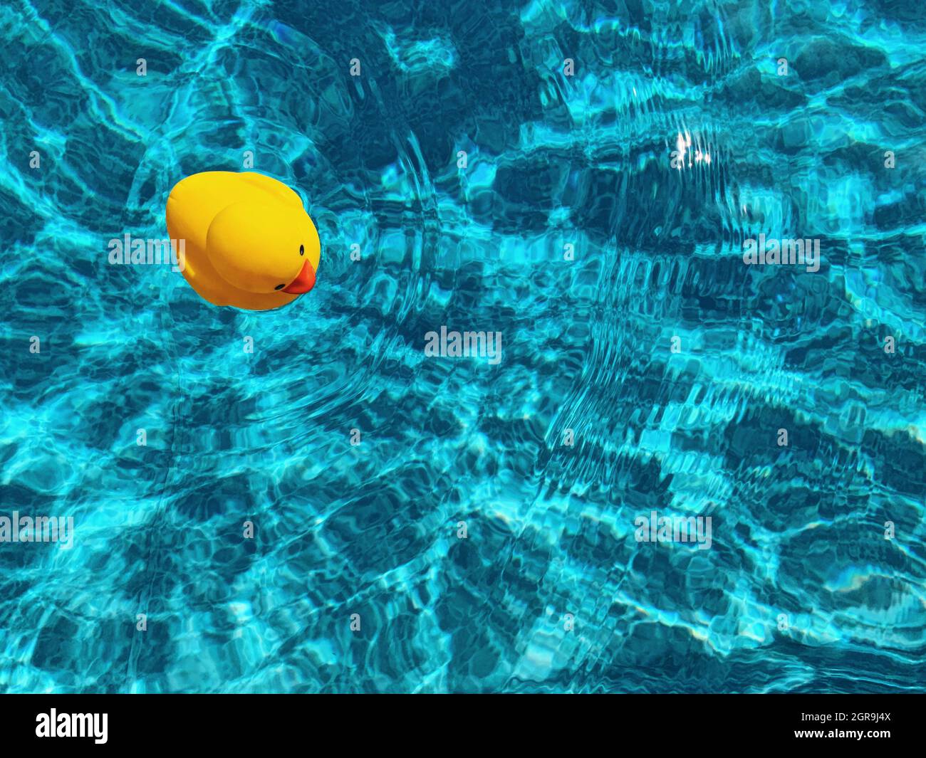 Rubber duck from above hi-res stock photography and images - Alamy