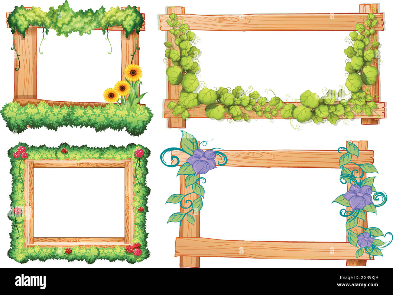 Wooden frames with vine and flowers Stock Vector Image & Art - Alamy