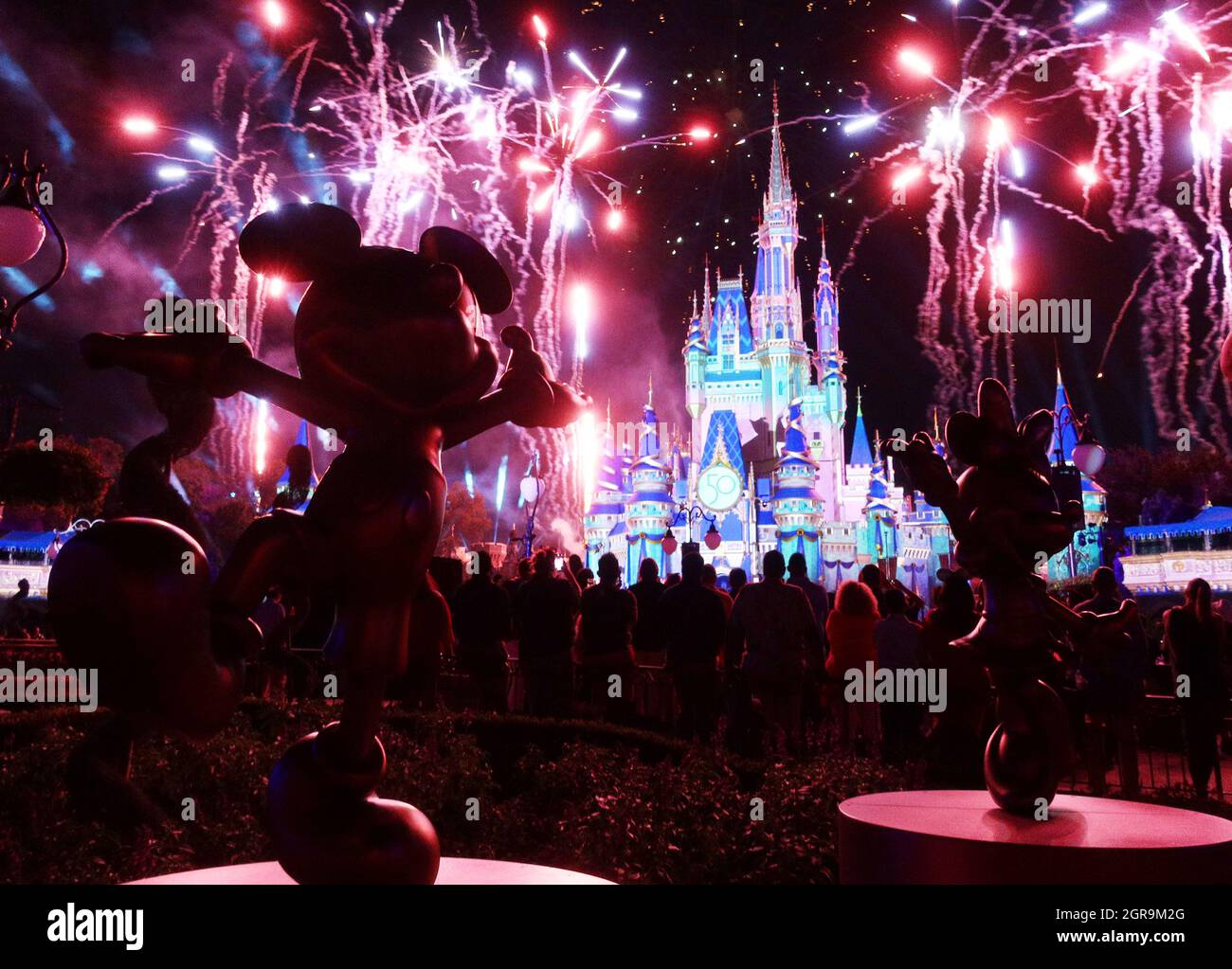 Mickey And Minnie Fireworks