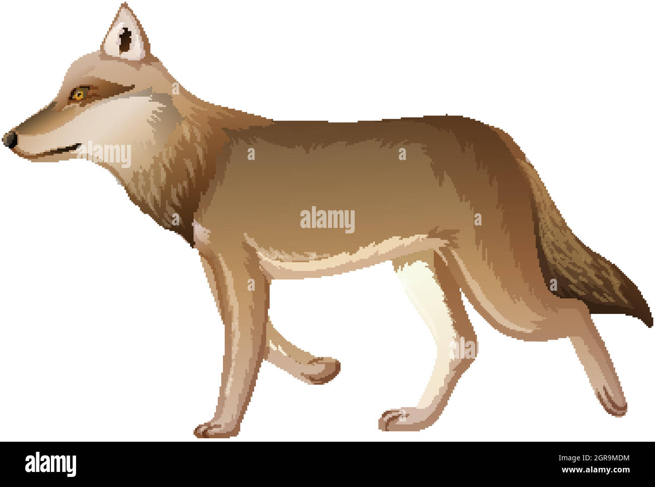 Cartoon wolf hi-res stock photography and images - Alamy