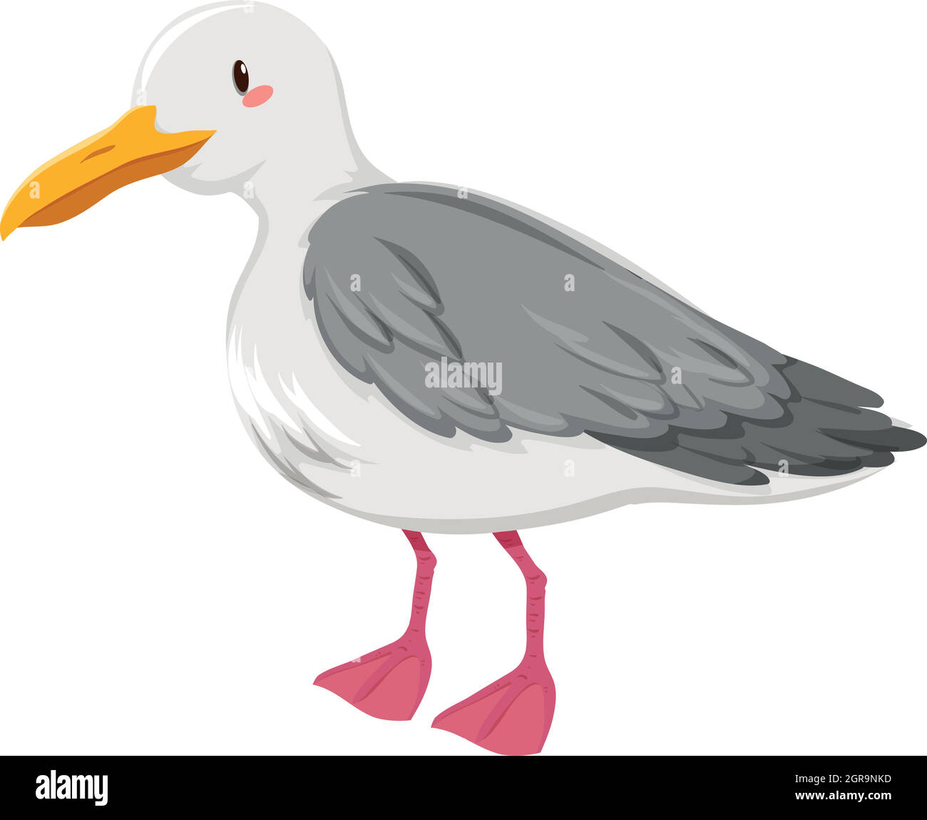 Seagull pigeon Cut Out Stock Images & Pictures - Alamy