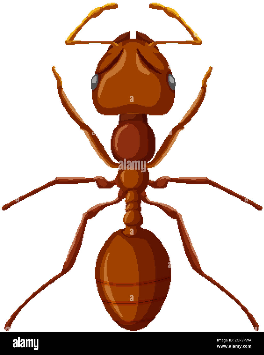 Fire ant isolated on white background Stock Vector Image & Art - Alamy