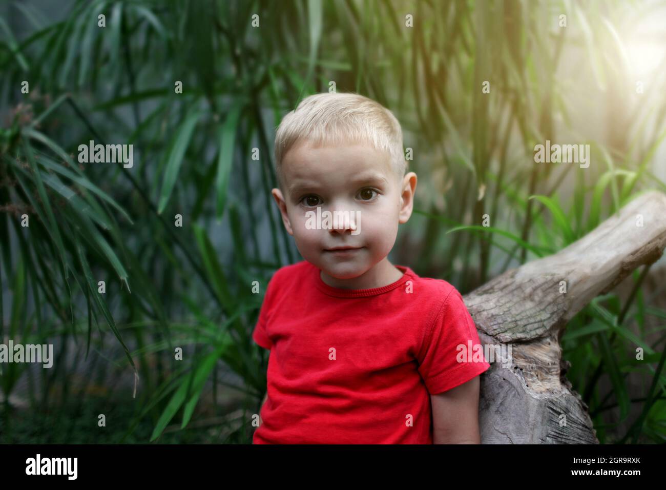 Wearing red t shirt hi-res stock photography and images - Alamy