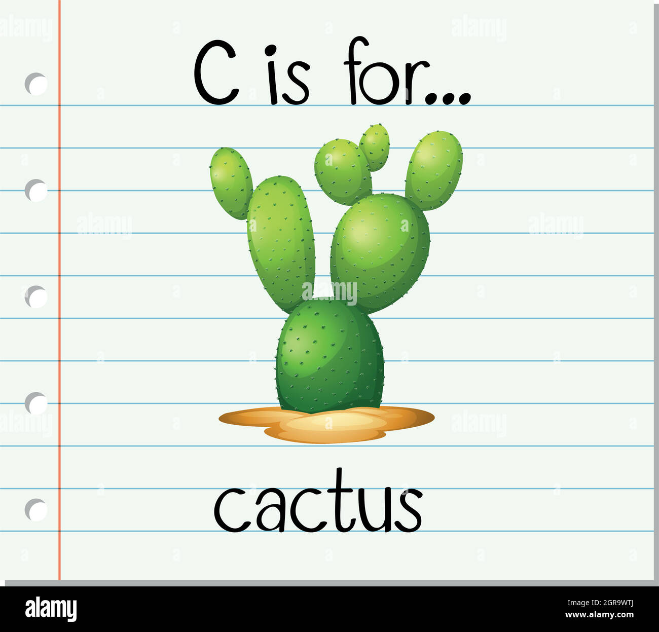 Flashcard letter C is for cactus Stock Vector Image & Art - Alamy