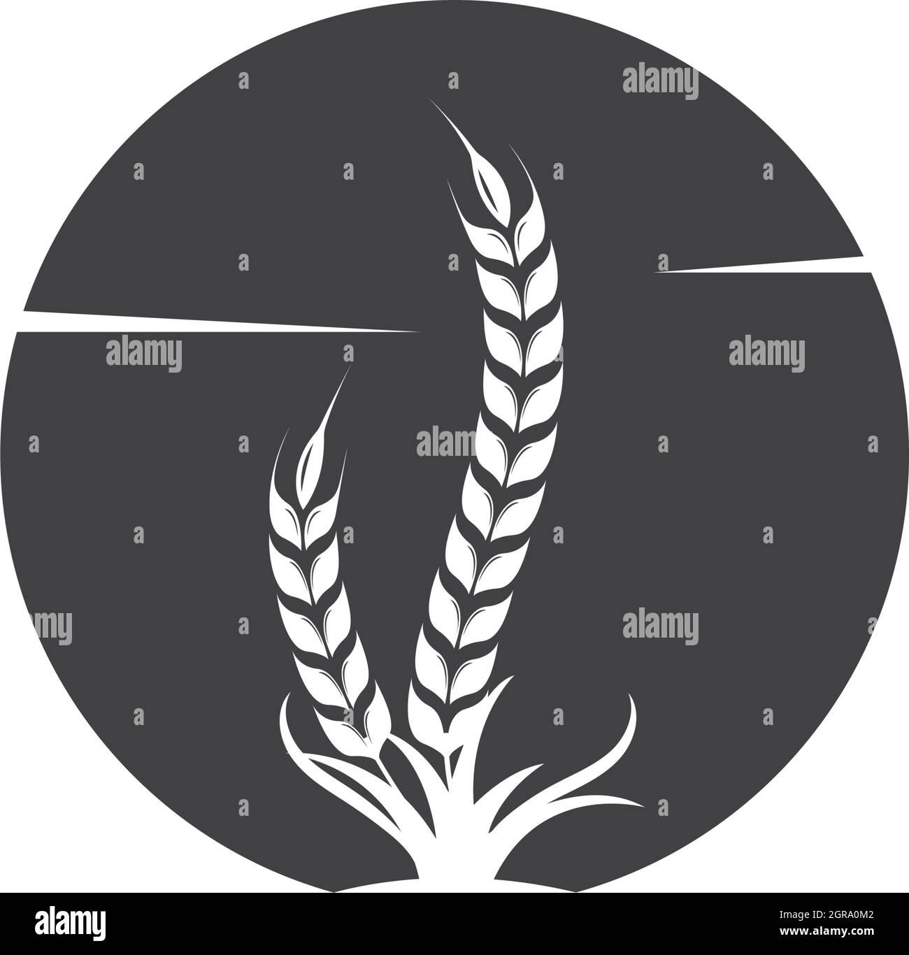 Agriculture wheat vector icon illustration design Stock Vector Image ...