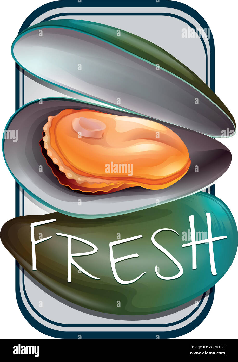 Aquatic mussel Stock Vector Images - Alamy