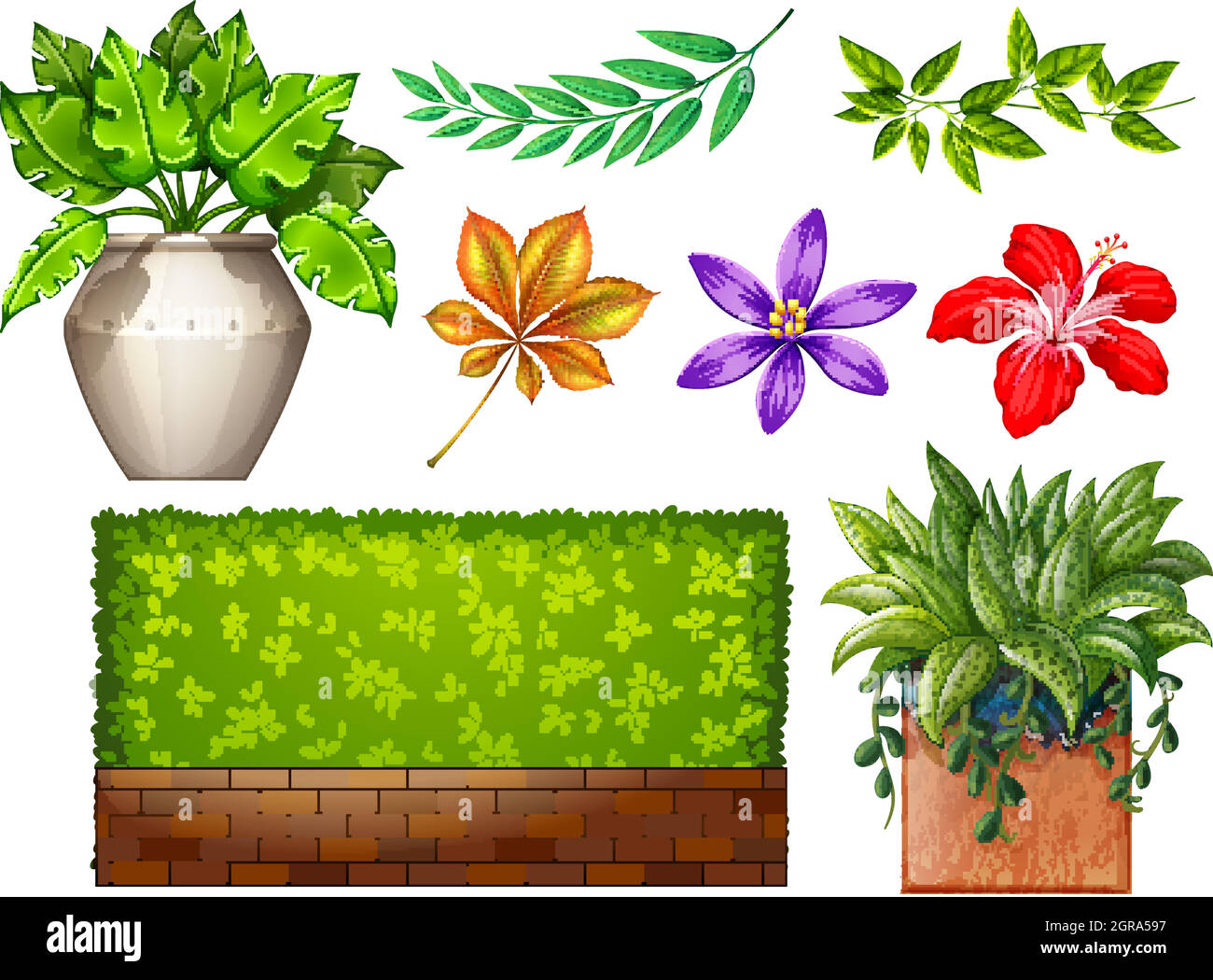 Plant and garden Stock Vector Images - Alamy