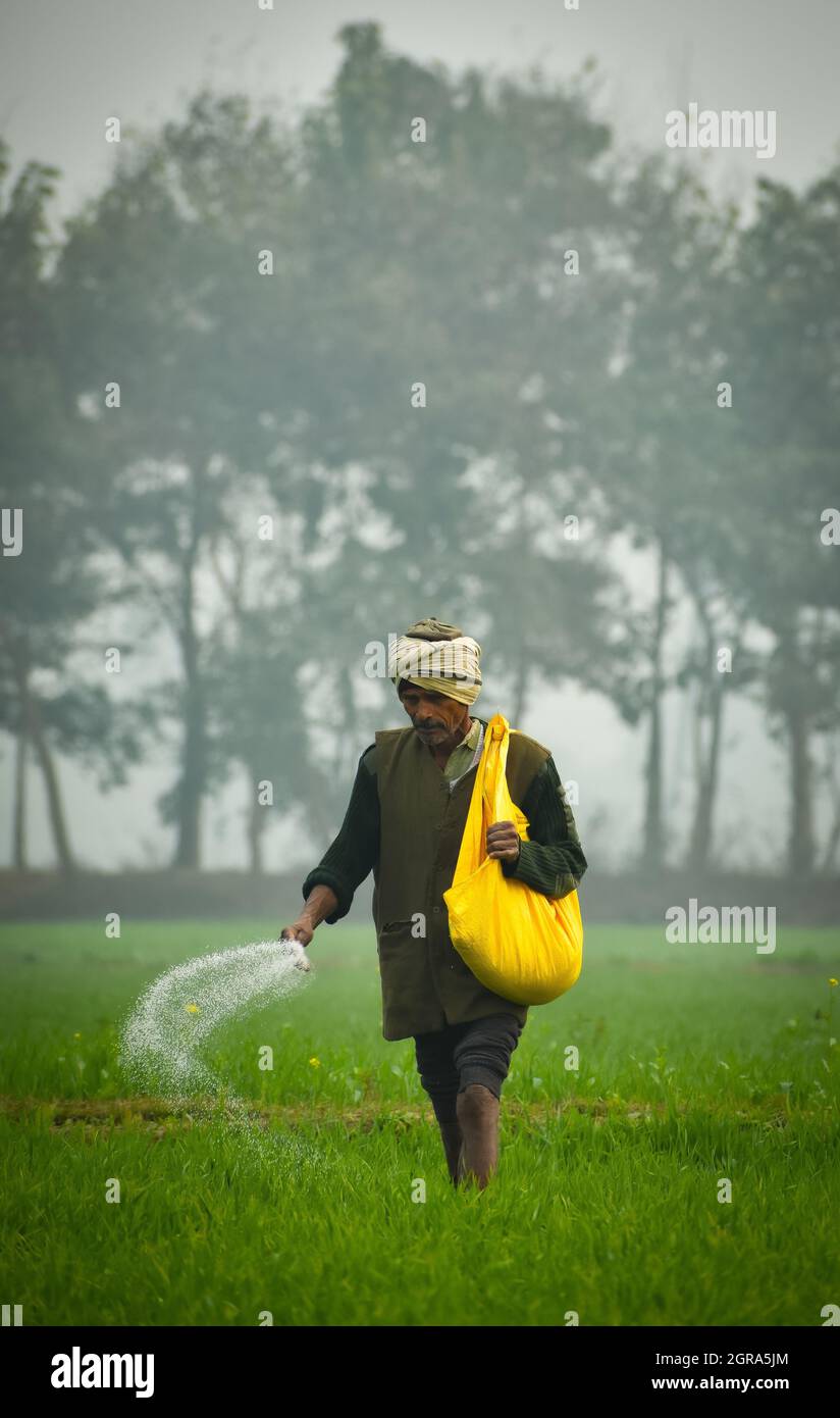 Fertilizer bag plant hi-res stock photography and images - Alamy