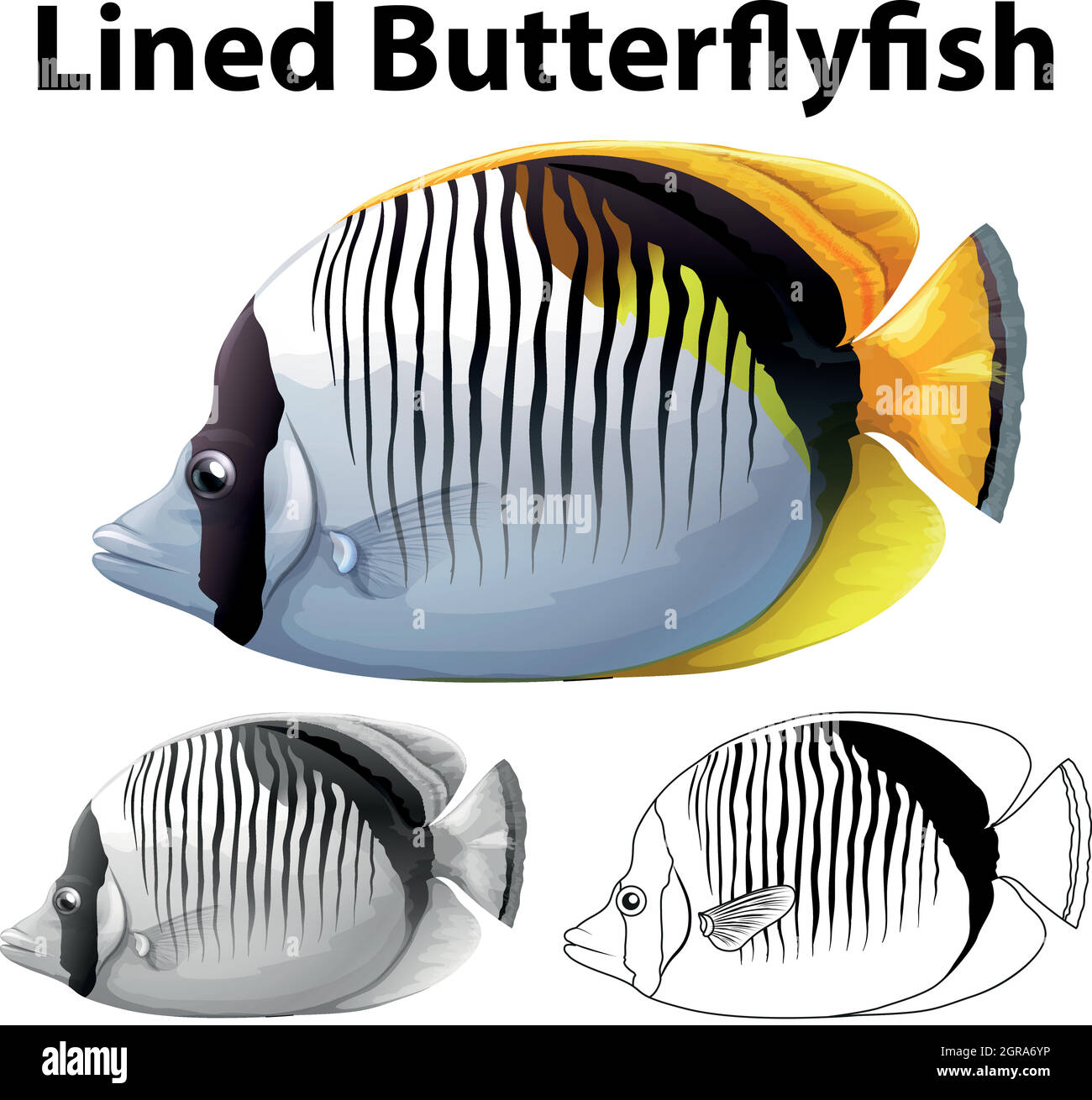 Butterfly clipart outline hi-res stock photography and images - Alamy