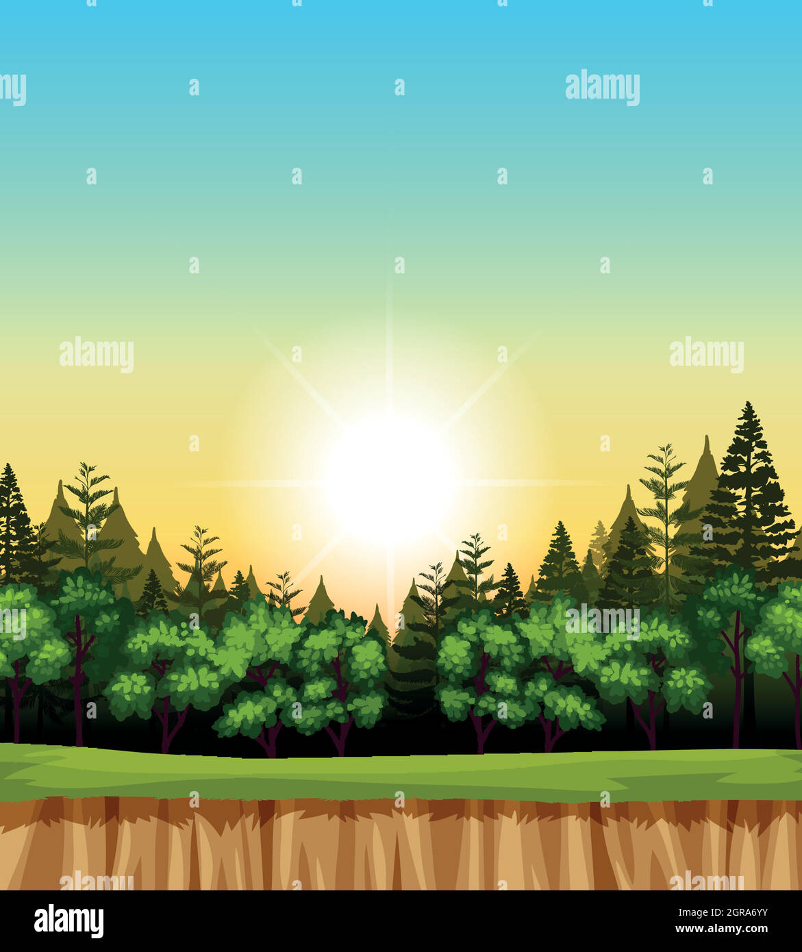 Forest scene with trees on the cliff Stock Vector Image & Art - Alamy