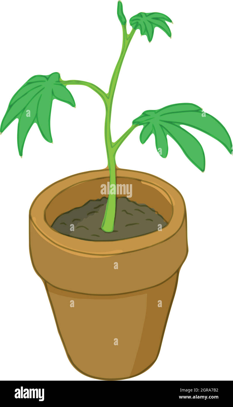 Pot marijuana icon, cartoon style Stock Vector Image & Art - Alamy