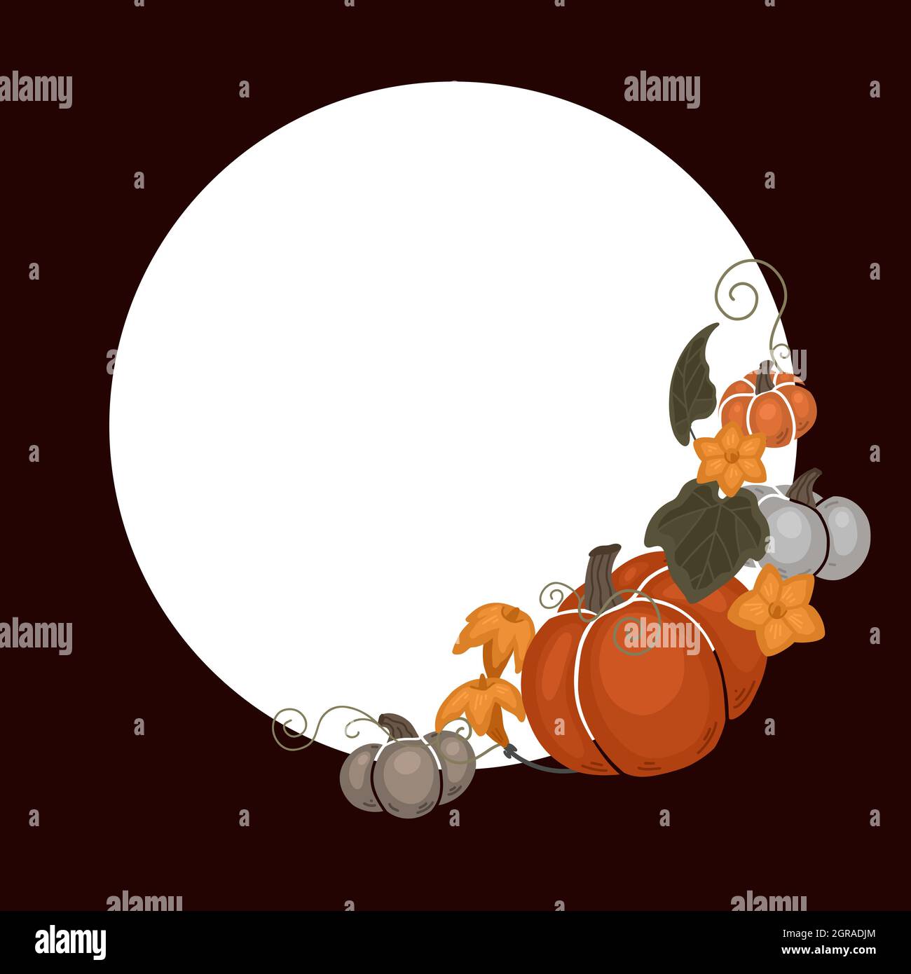 Autumn template with pumpkins, foliage, vine curled, flowers and copy ...