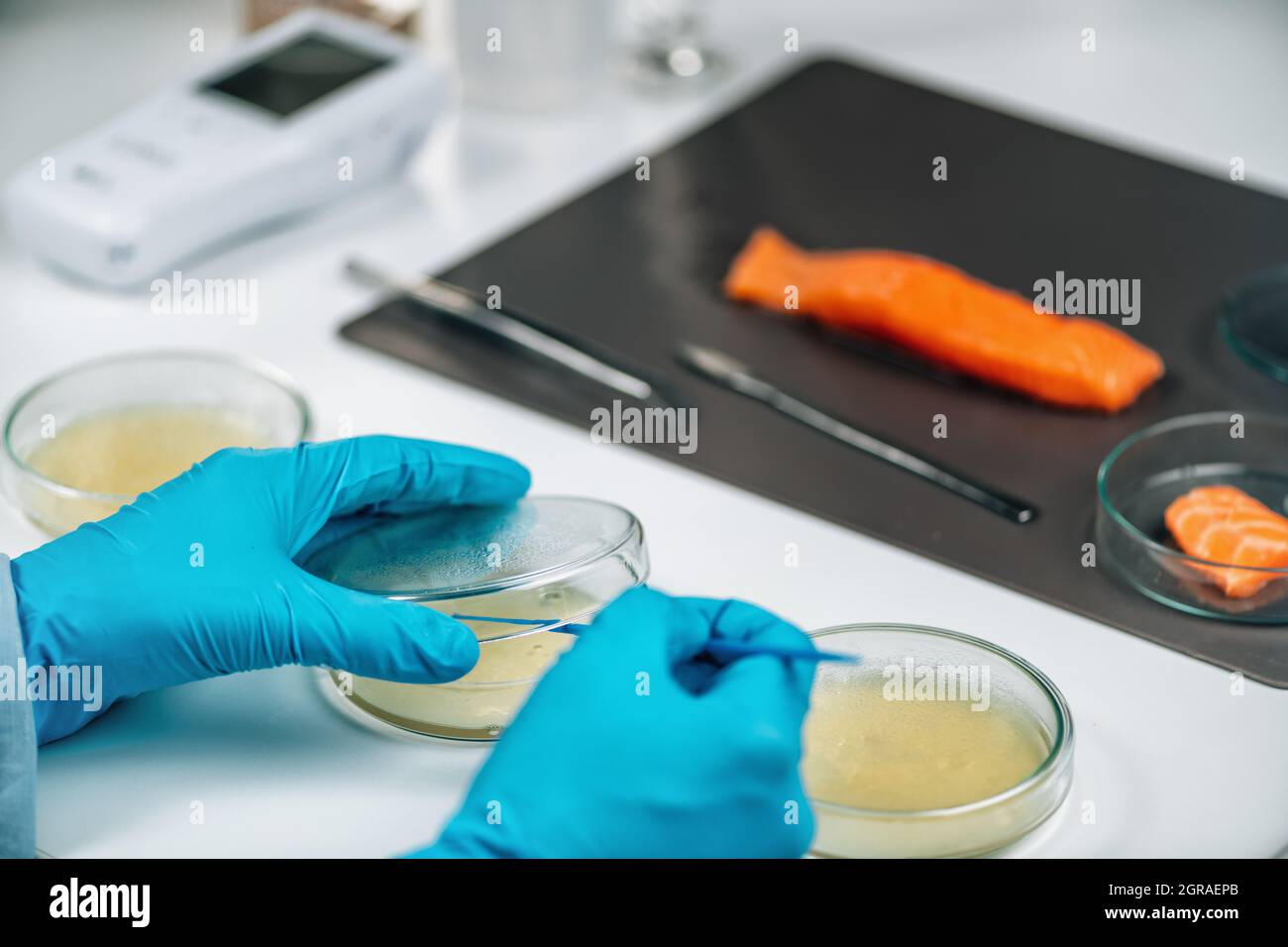 E assessment hi-res stock photography and images - Alamy