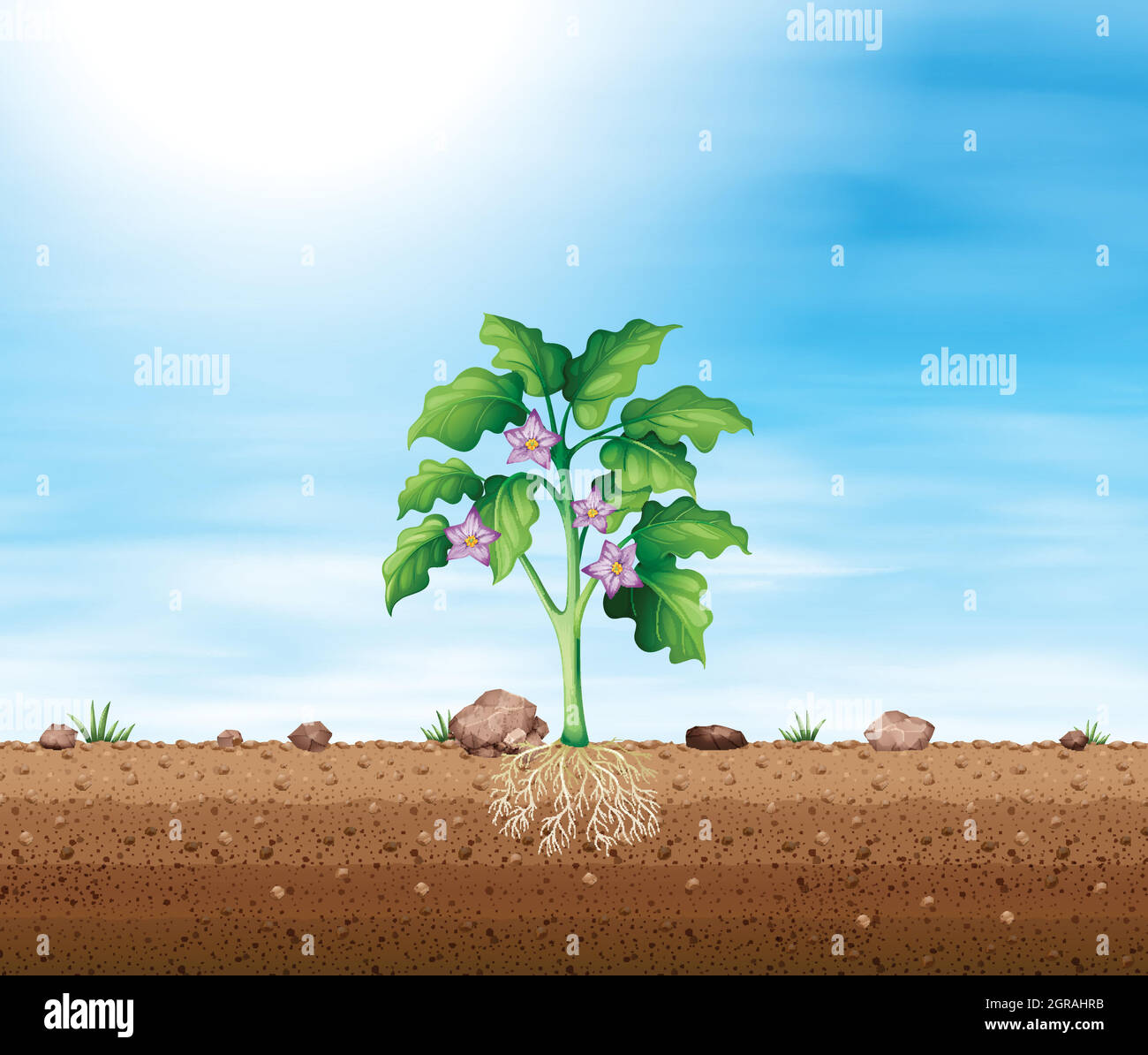 Purple flower green leaves Stock Vector Images - Alamy