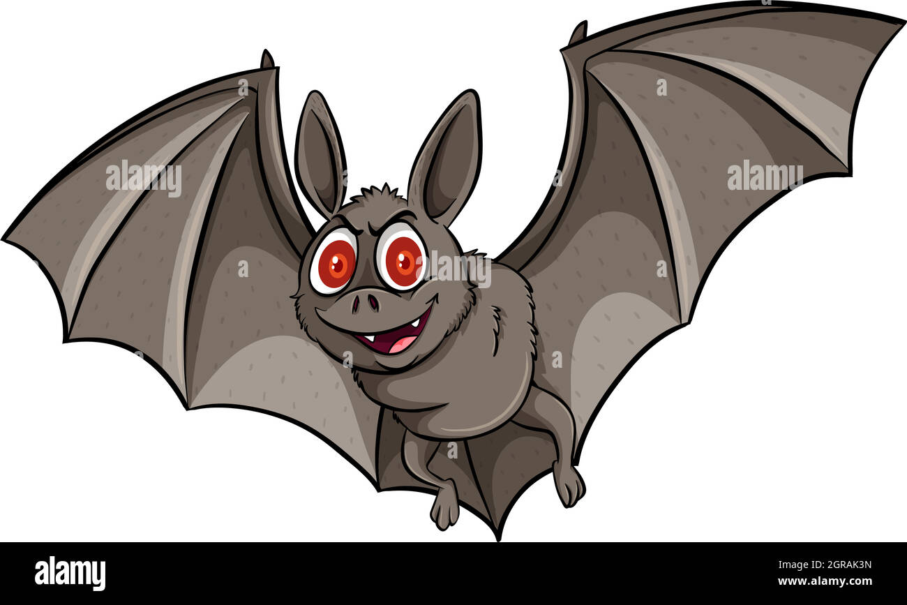 Bat hunting prey hi-res stock photography and images - Alamy