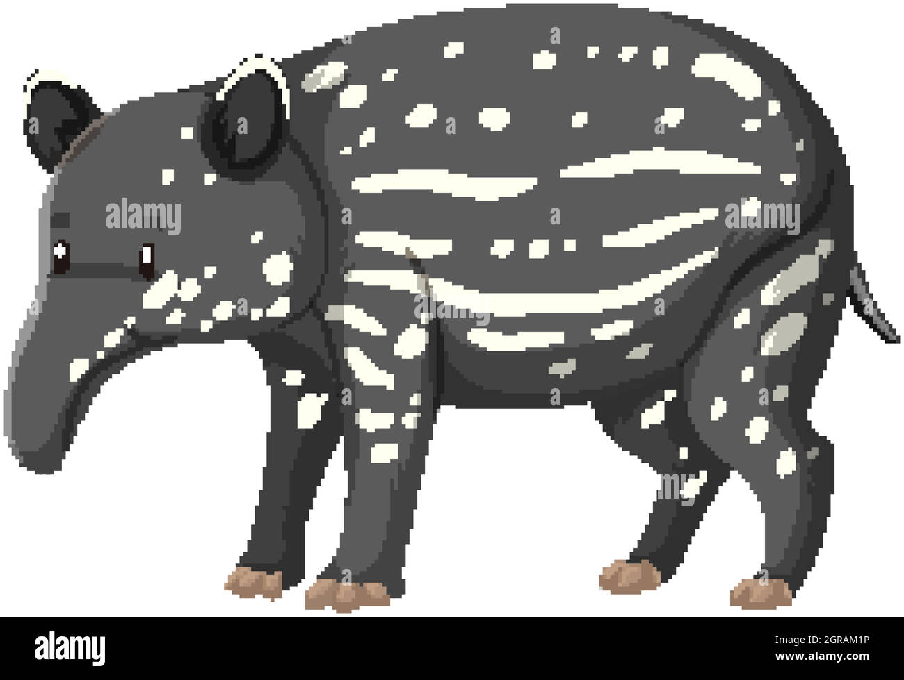 Baby Tapir wild animal on white background Stock Vector Image & Art - Alamy
