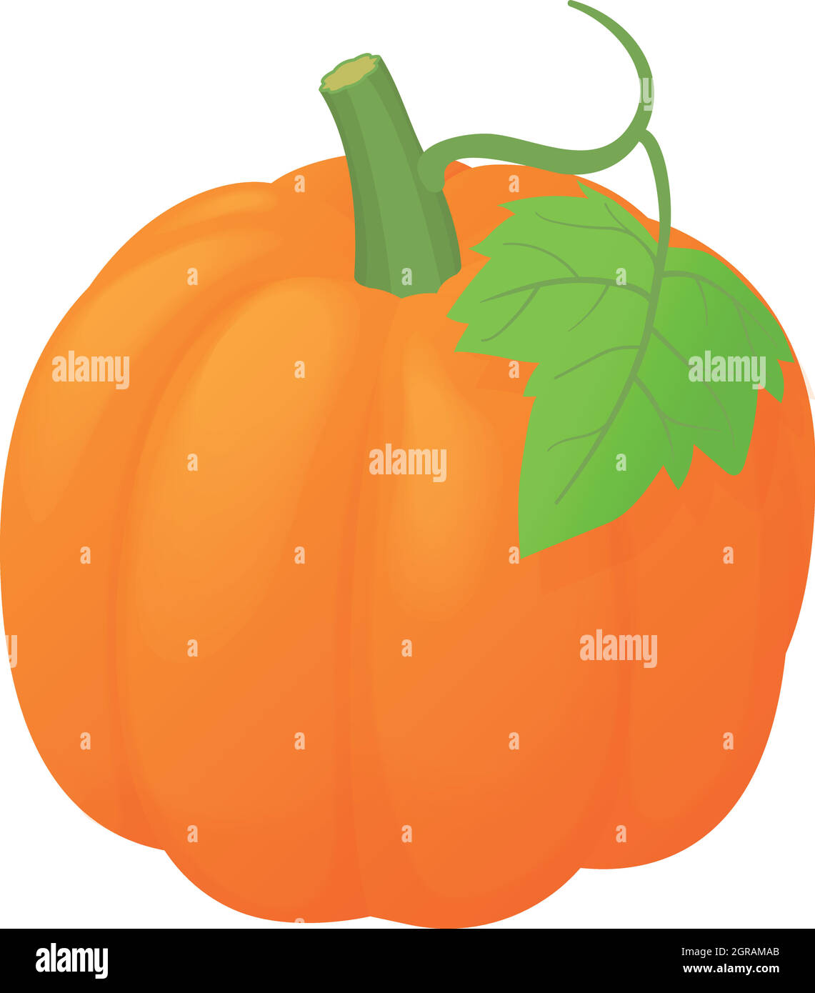 Fresh ripe orange pumpkin Stock Vector Images - Alamy