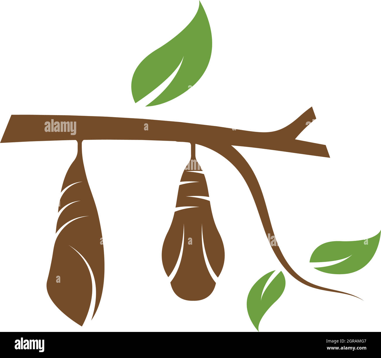 cocoon vector illustrtion design Stock Vector Image & Art - Alamy