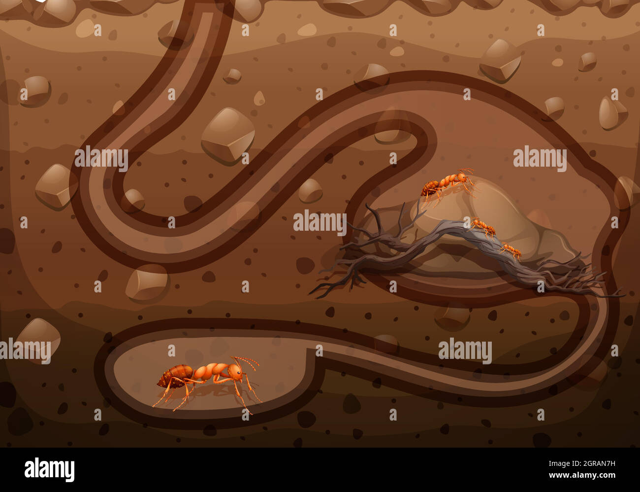 Ant Hill Underground