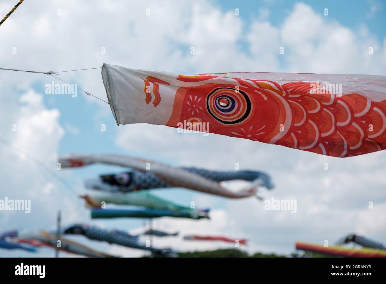 Japanese fish flags hi-res stock photography and images - Alamy