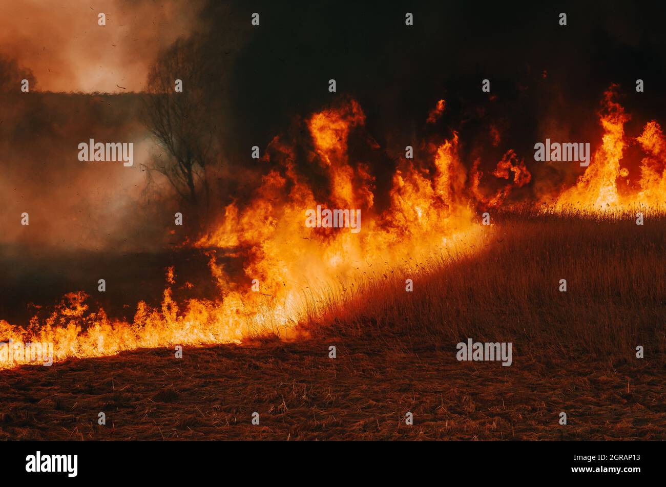Burning dry grass hi-res stock photography and images - Alamy