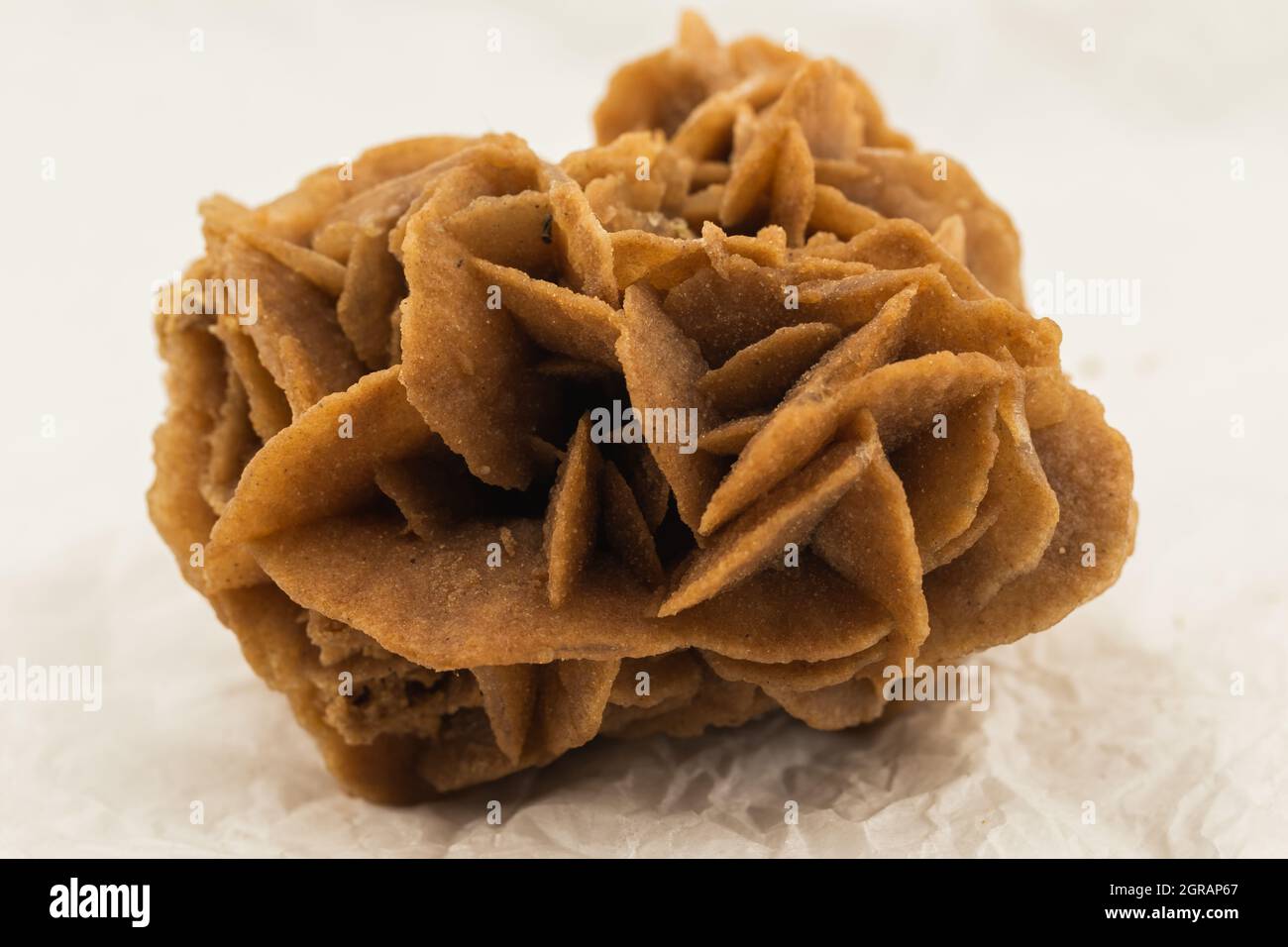 Desert rose hi-res stock photography and images - Alamy