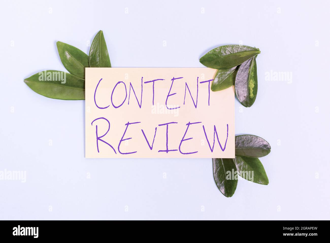 Text caption presenting Content Review. Concept meaning evaluate the ...