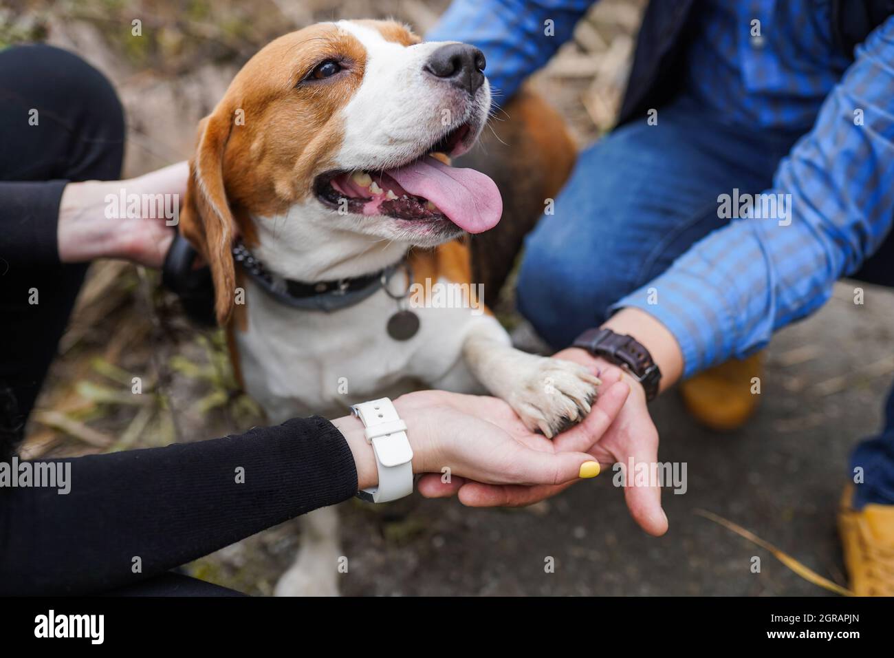 Friendship between human an animal hi-res stock photography and images ...