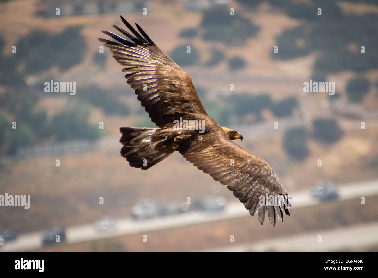 Spread Eagle Hill High Resolution Stock Photography and Images - Alamy