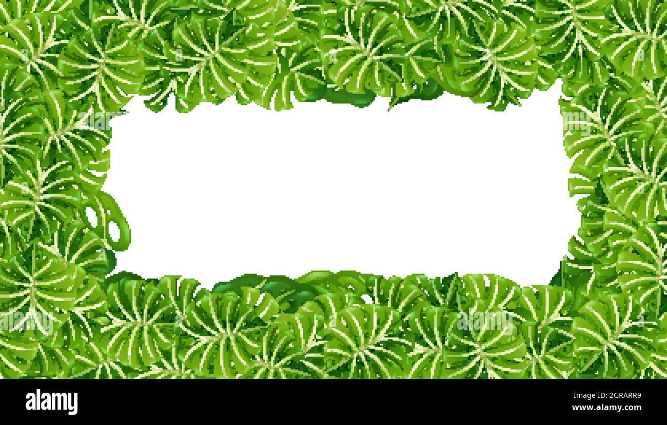 Background template with green leaves Stock Vector Image & Art - Alamy