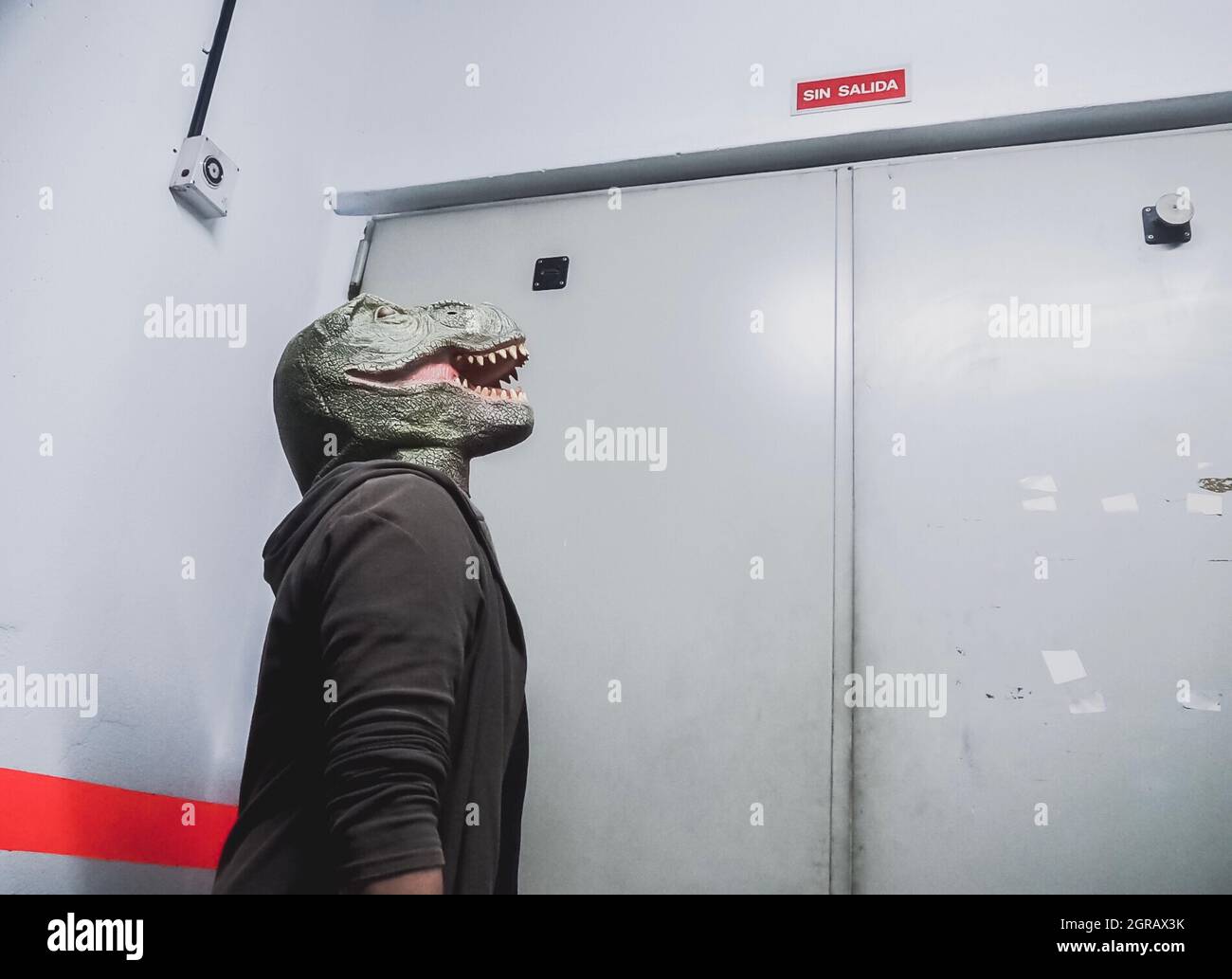 Dinosaur mask hi-res stock photography and images - Alamy