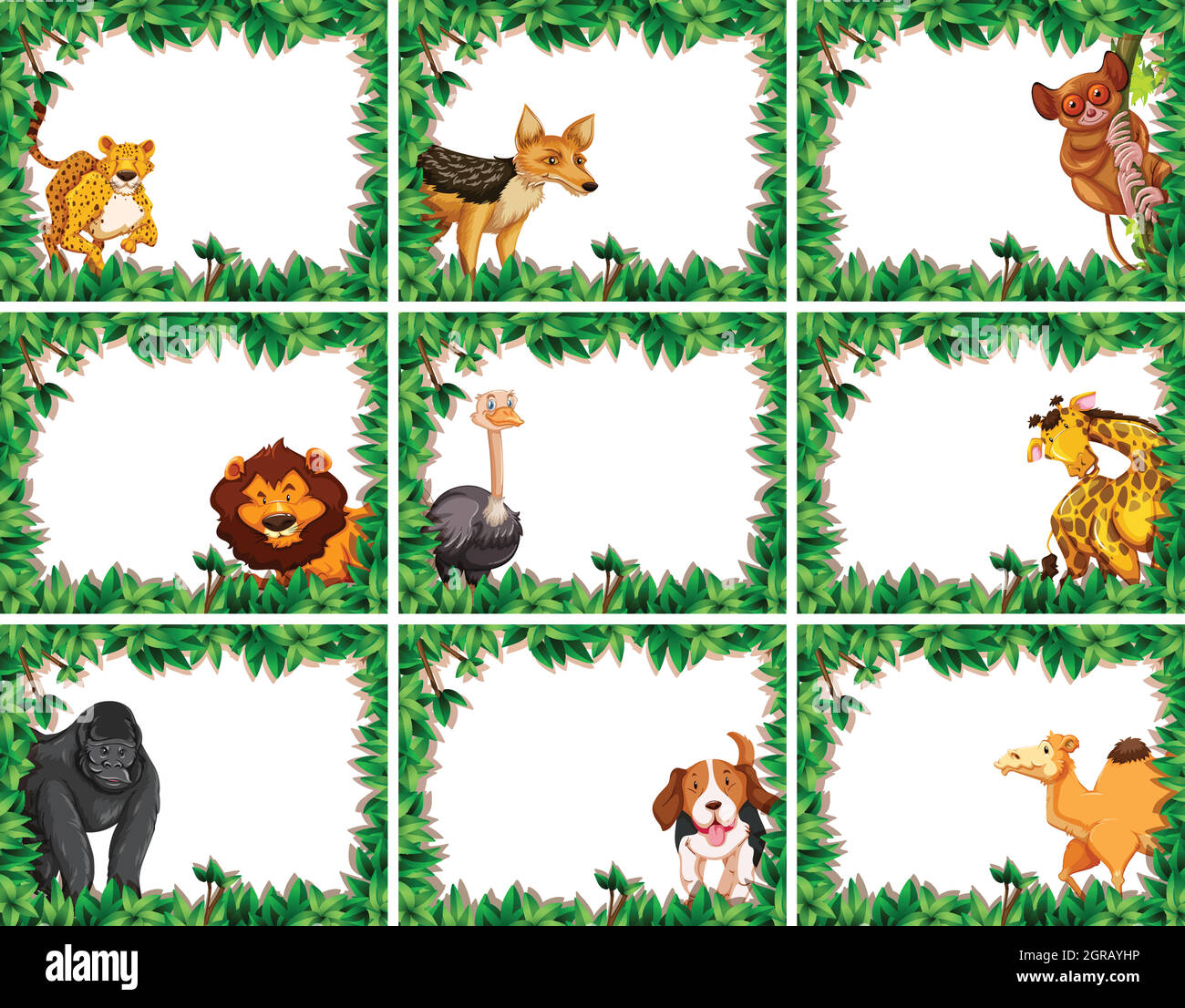 Set of animal frame Stock Vector Image & Art - Alamy