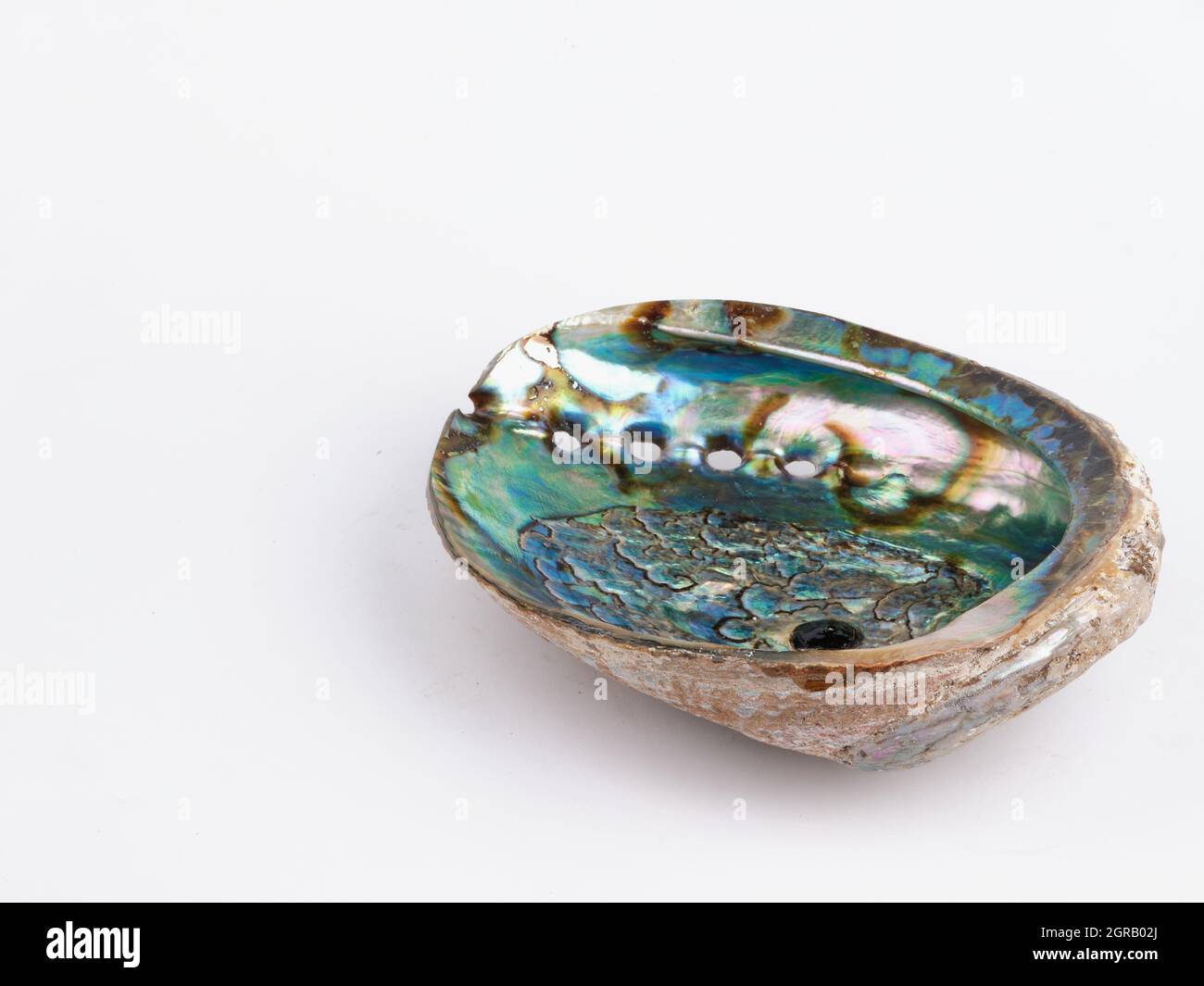 Shiny mother-of-pearl inside abalone of sea snail isolated on white ...